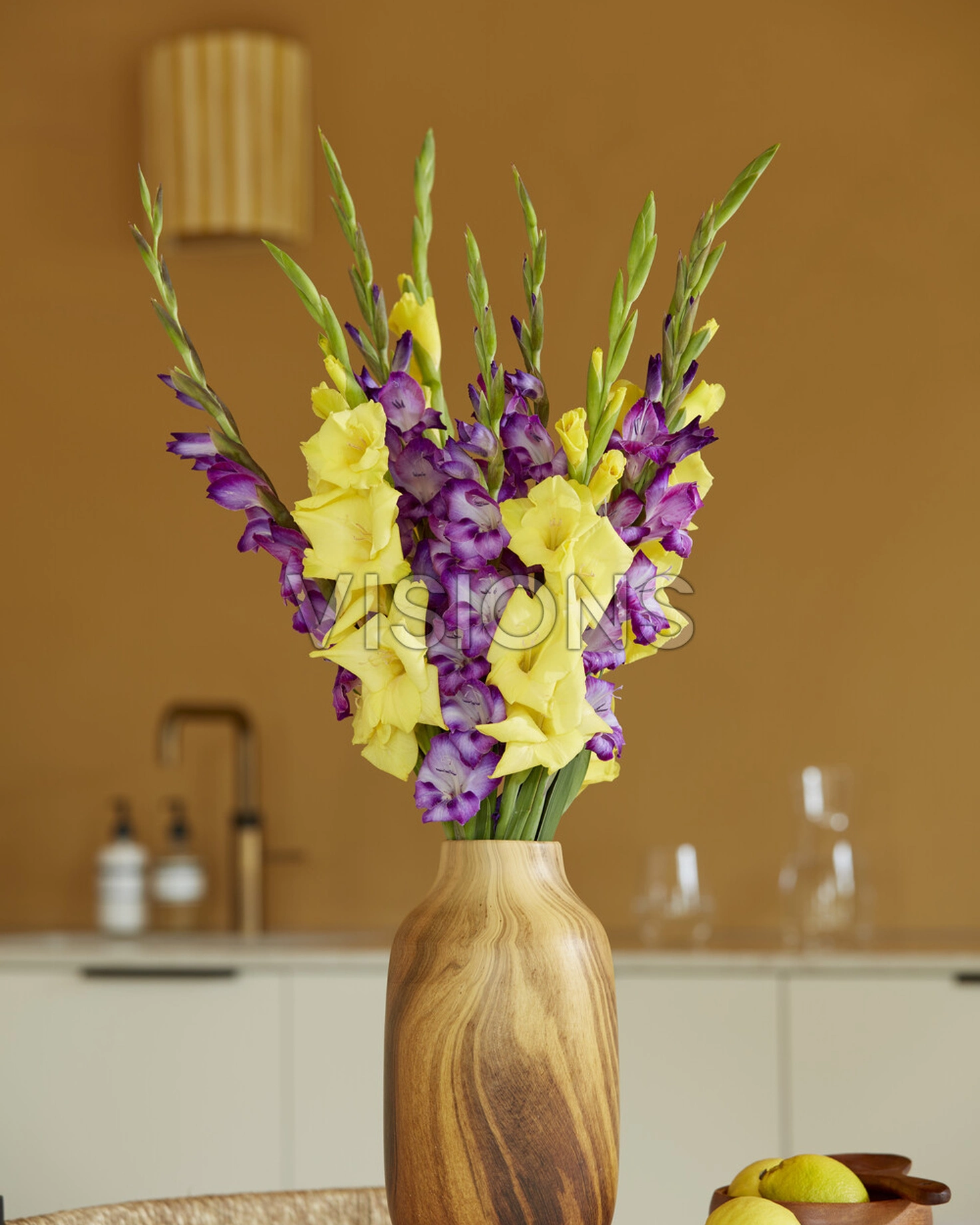 Kim Gladiola (Dry) - Forever Bulbs